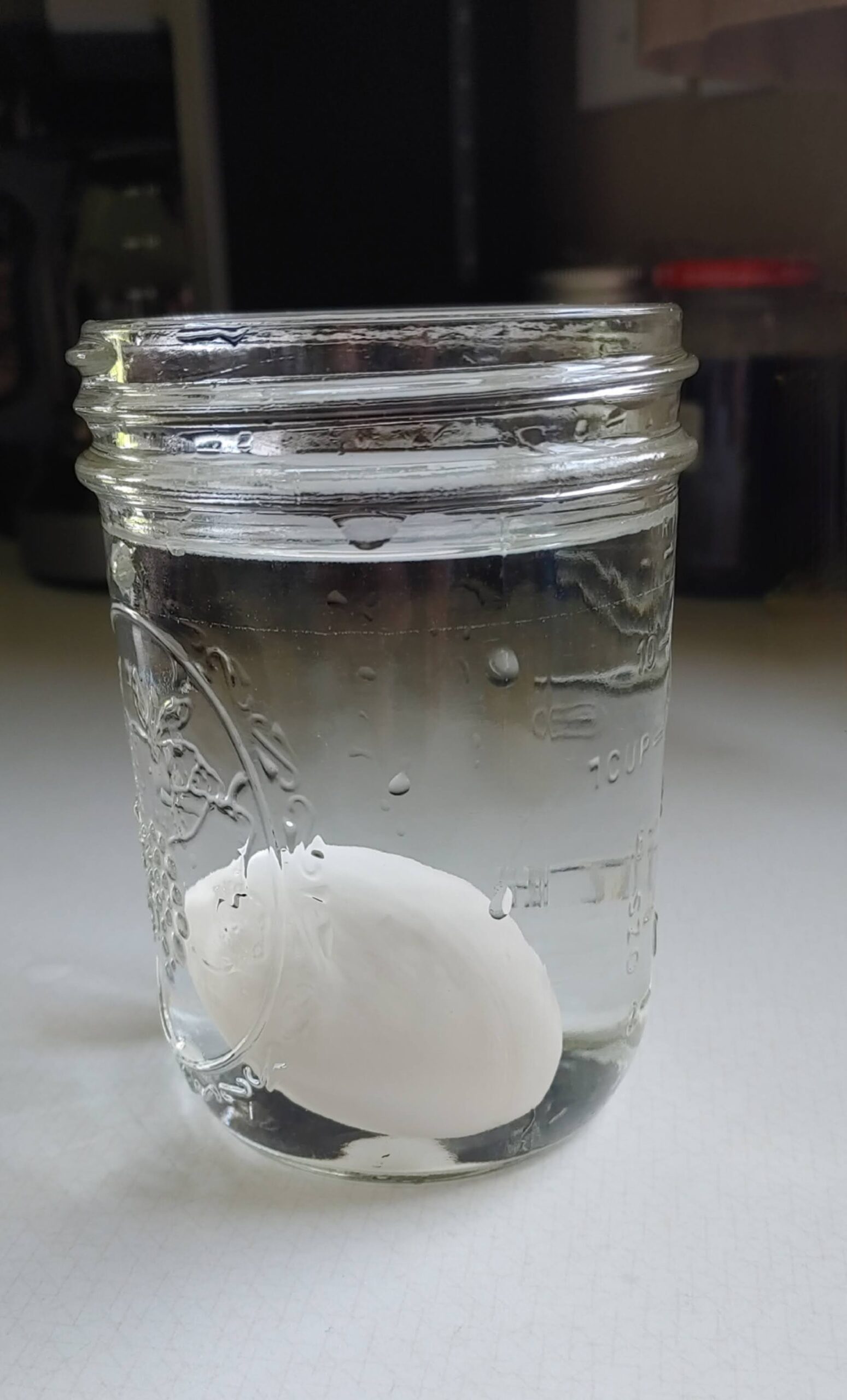 Fresh Eggs? How to know for sure. - Rusty Chain Farm